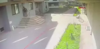 Yalova Haber, Yalova Son Dakika Haberleri - Haberler