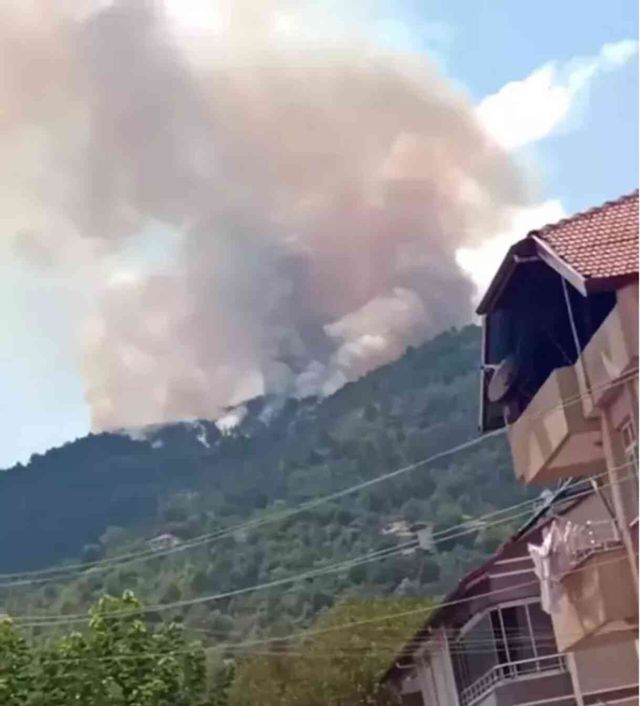 Zonguldak'ta orman yangını nerede çıktı, söndürüldü mü? Zonguldak'ta ...
