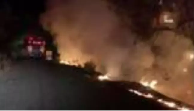 Küçüksamanlık koyundaki yangın söndürüldü - Haberler