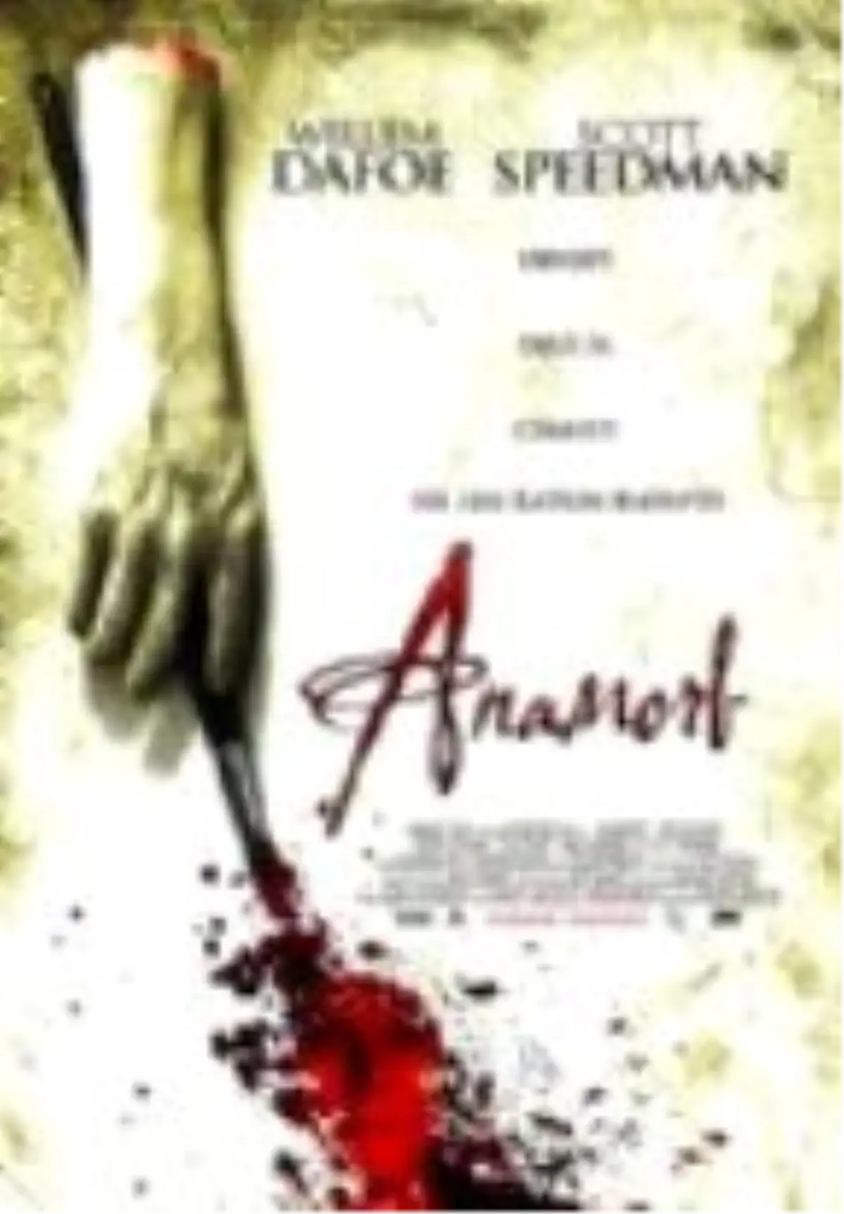 Anamorph Filmi - Haberler