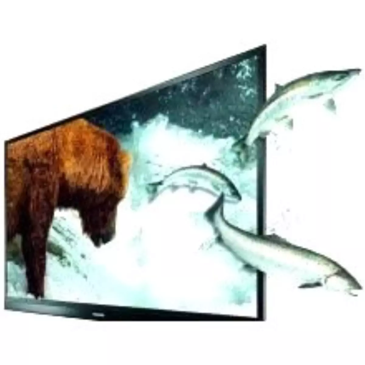 Toshiba'dan Yeni Full Hd 3d Tv'ler! - Haberler