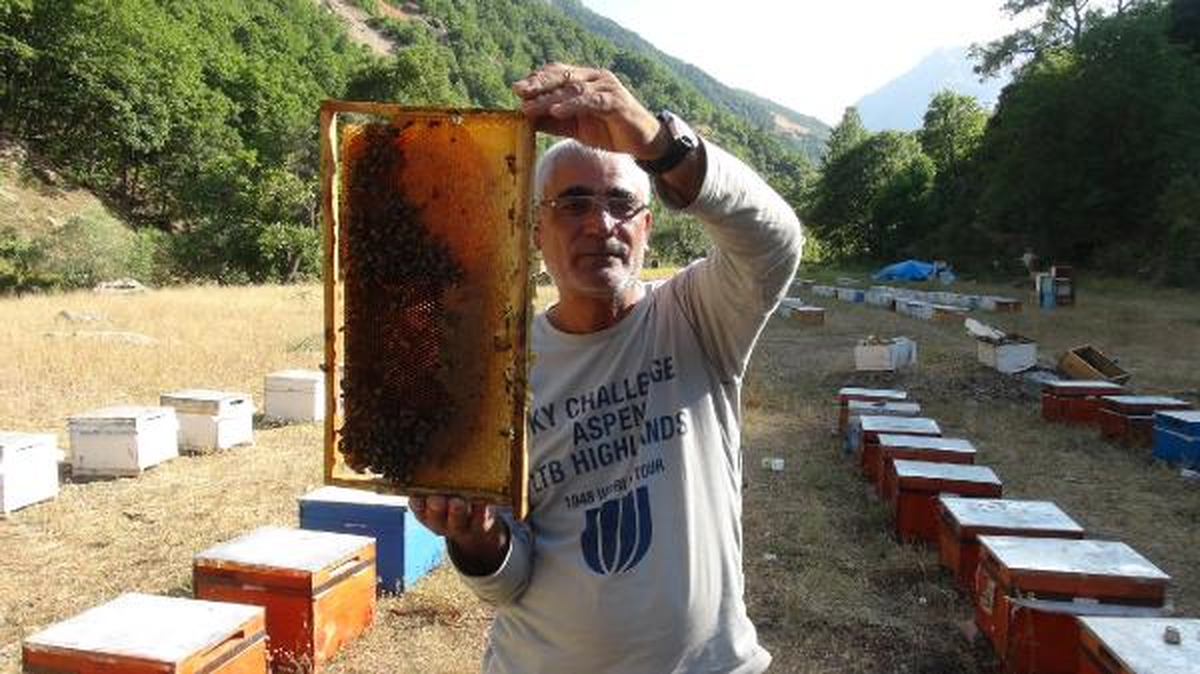 Tunceli'nin Ahpanis Vadisi, Bal Üretimiyle Öne Çıktı - Haberler