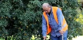 Haberleri - Haber - Haberler