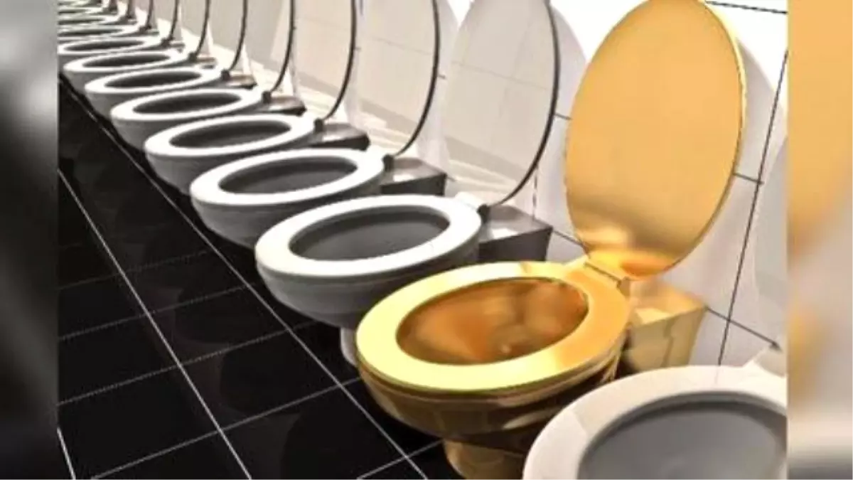 Scientists Say Your Poop İs A Gold Mine - Haberler