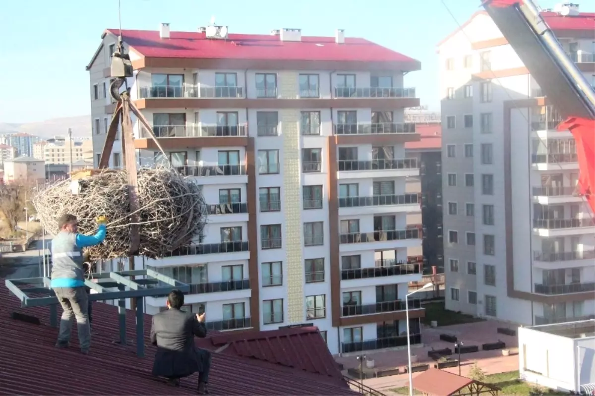 Leylek Yuvası Vinçle Taşındı - Haberler