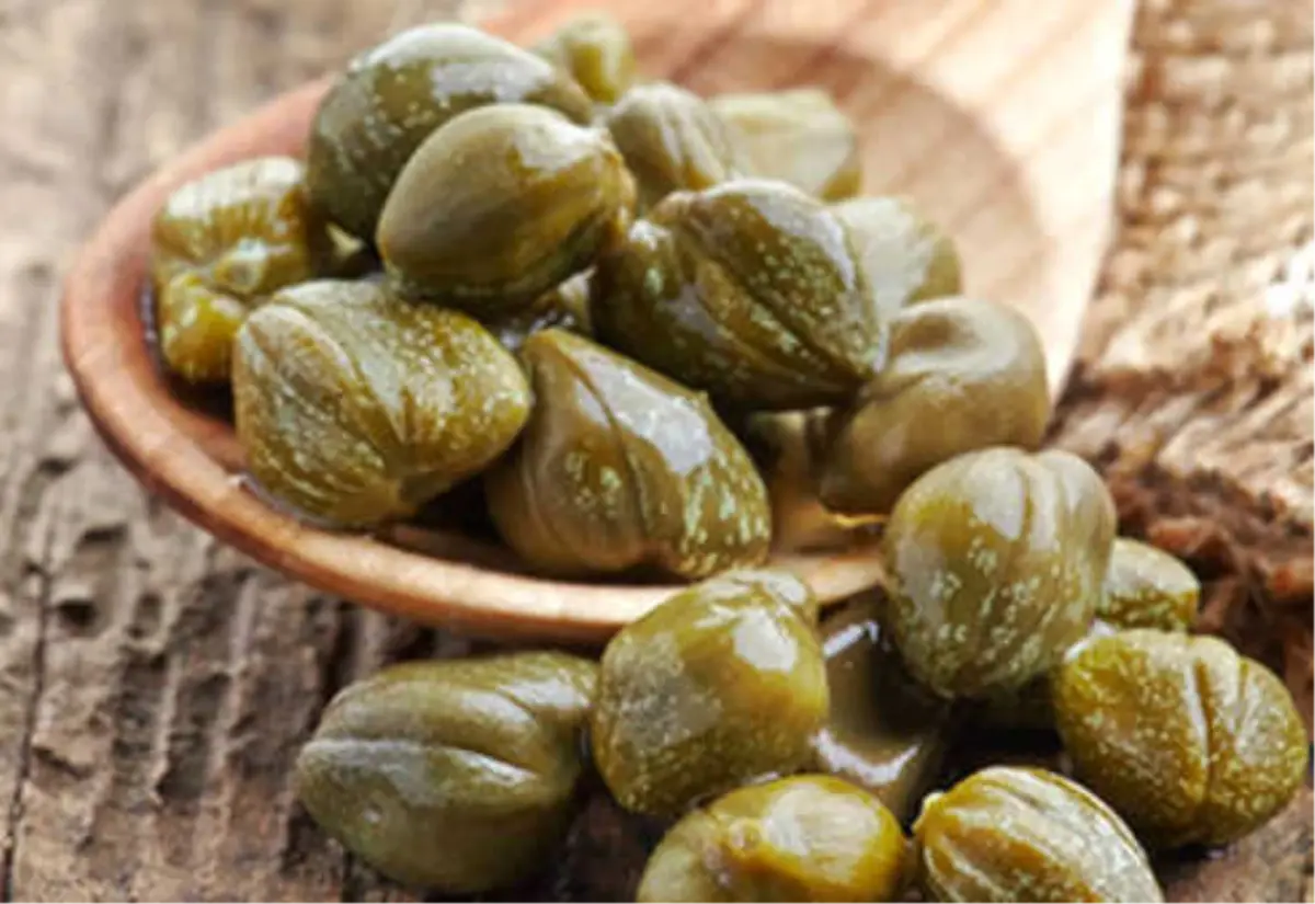 İspanya'nın Milli Bitkisi Kapari ile Tanıştınız Mı? - Haberler