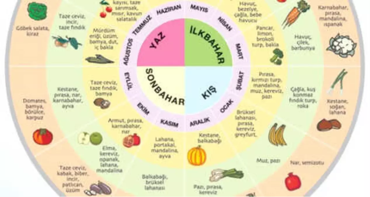 Mevsim Sebzeleri Kilo Kontrolü İçin Çok Önemli - Haberler