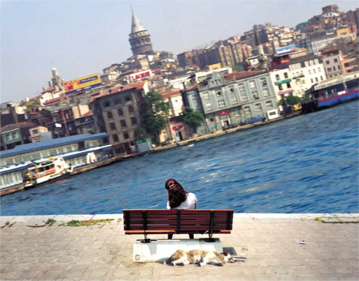 Devamlılık Hatası, Salt Beyoğlu'nda Gerçekleştiriliyor! - Haberler