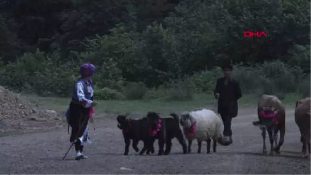 Trabzon Karadeniz'de Yaylalar Rengarenk Hd - Haberler