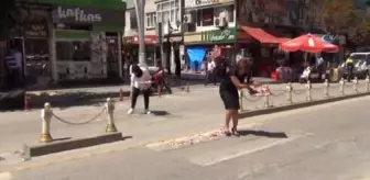 Bayram Haberleri | Bayram Haber - Haberler