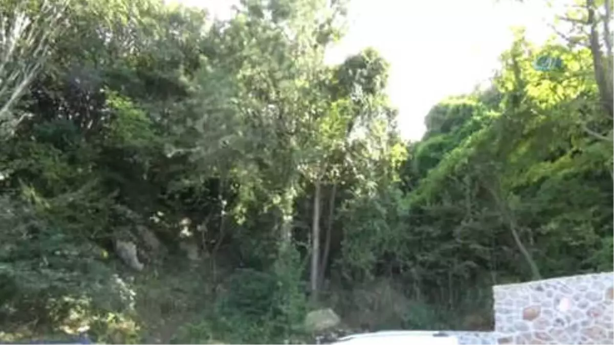 Uludağ'da Ayağı Kırılan Vatandaş Askeri Helikopterle Kurtarıldı - Haberler Uludağ'da Ayağı Kırılan Vatandaş Askeri Helikopterle Kurtarıldı - Haberler