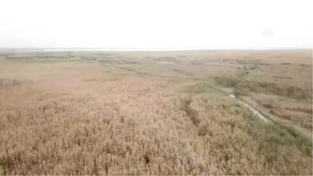 Eber Gölü'nde Su Yok Değil, Su Var Eber Gölü'nde Su Yok Değil, Su Var