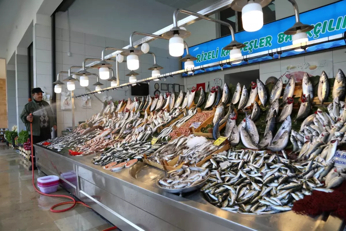 Balıklar Artık Balıkhan'dan Alınacak - Haberler