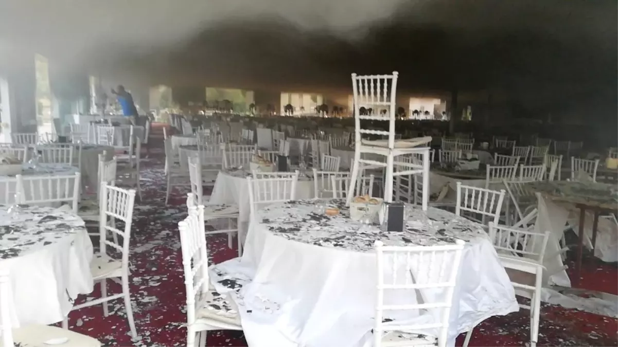 En güzel günleri kabusa döndü - Haberler