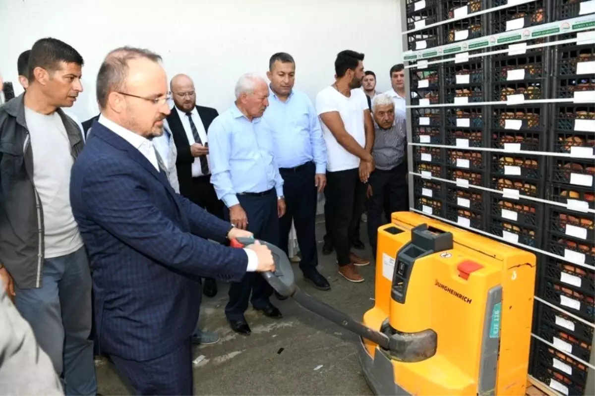 Lapseki'de bölgenin en büyük soğuk hava deposu açıldı - Haberler