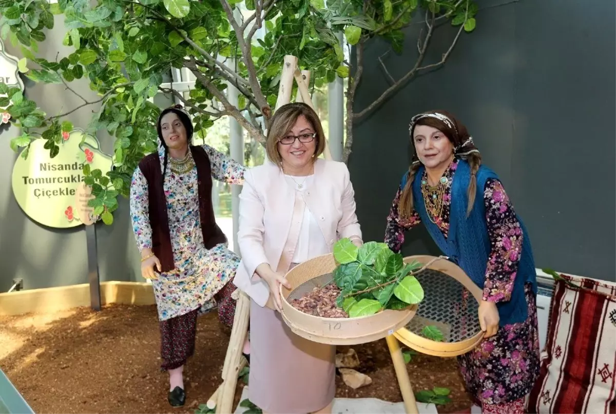 Müzeler Şehri Gaziantep'in bir müzesi daha ödülle taçlandı - Haberler