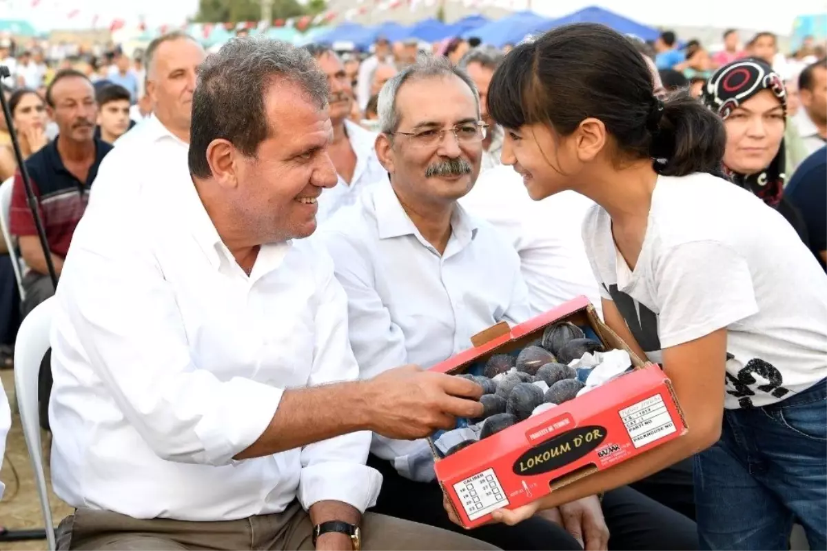 Tarsus'ta İncir Şenliği coşkusu - Haberler