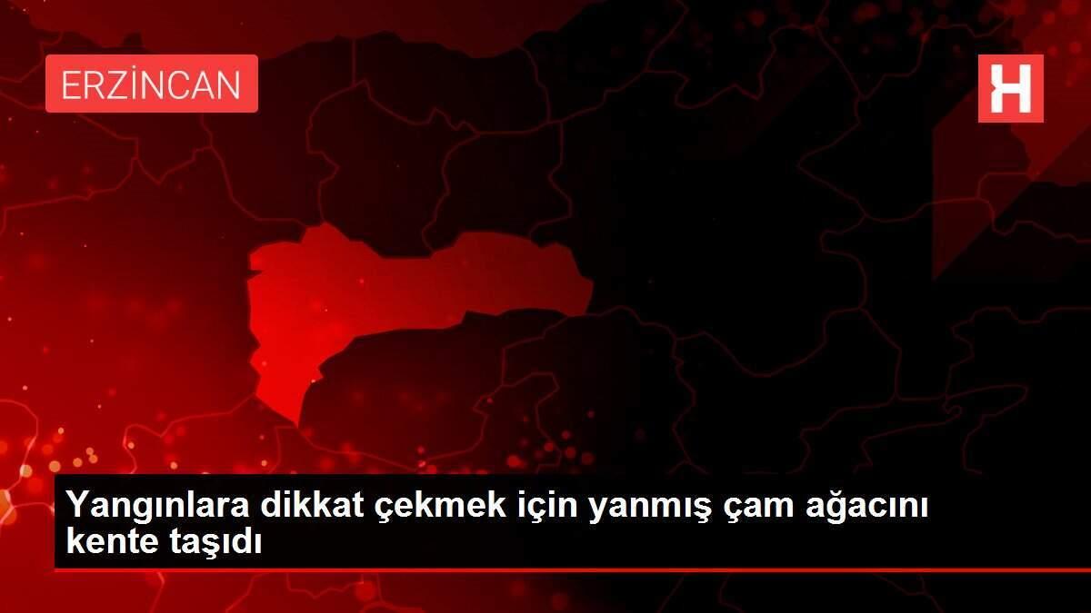 Yangınlara dikkat çekmek için yanmış çam ağacını kente taşıdı - Haberler