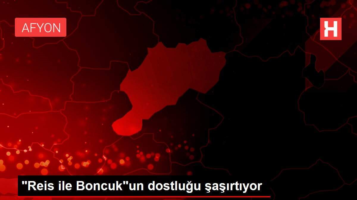 "Reis ile Boncuk"un dostluğu şaşırtıyor - Haberler