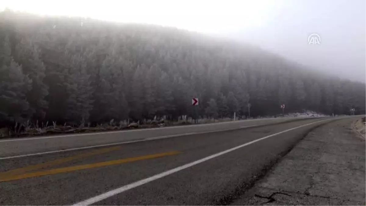 Doğu Anadolu'da soğuk hava etkili oluyor - Haberler