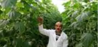 Çitgöl Haber - Çitgöl Haberleri - Haberler