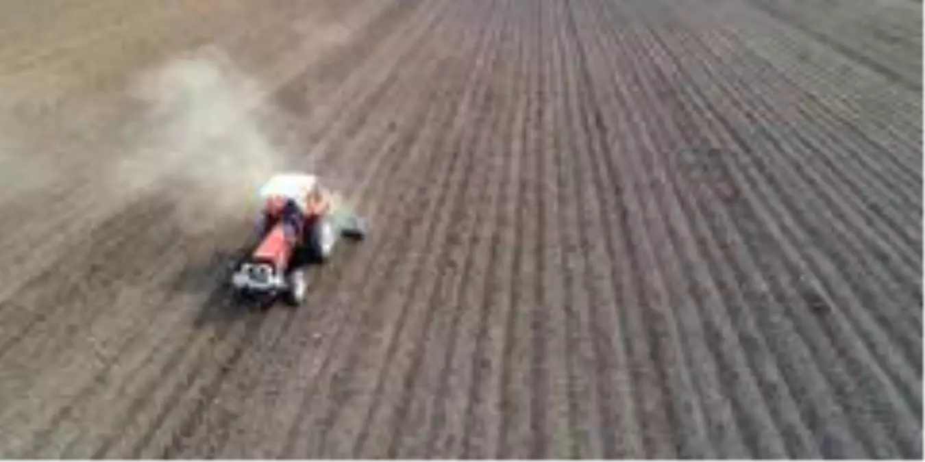 Bayburt'ta kuru soğan demonstrasyon ekimi yapıldı - Haberler