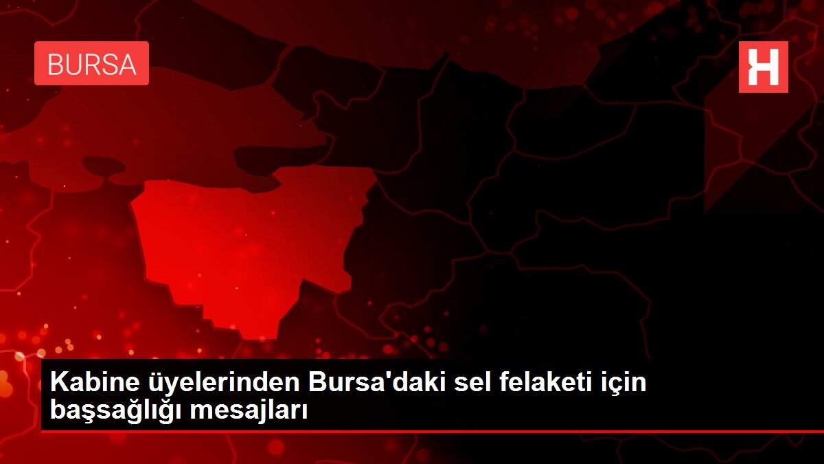 Kabine üyelerinden Bursa'daki sel felaketi için başsağlığı mesajları ...
