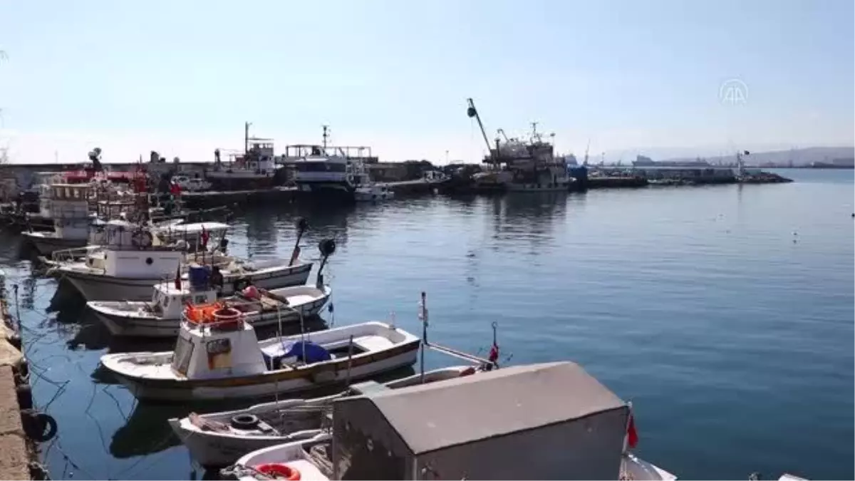 Balıkçılar ağlara yapışan deniz salyası nedeniyle avlanamayınca ...