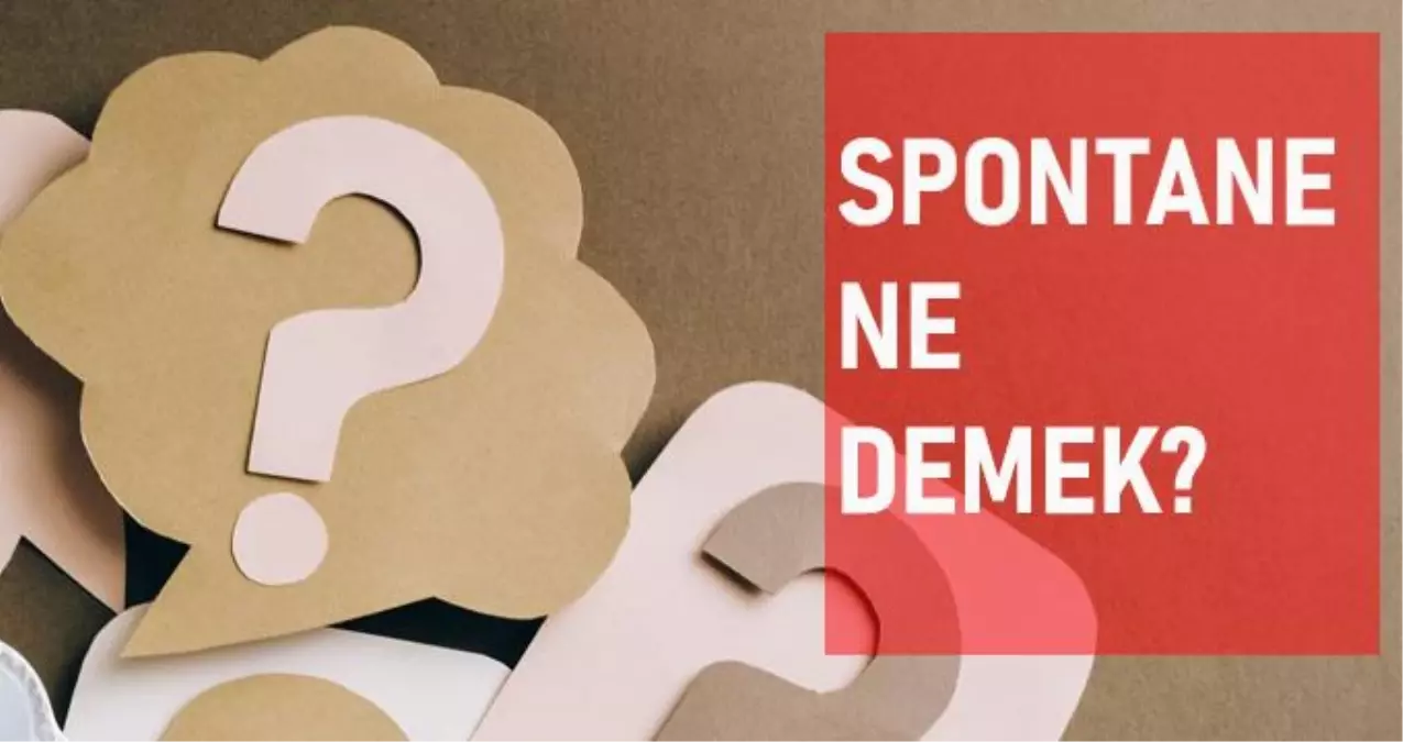 Spontane ne demek? Spontane anlamı ne? - Haberler