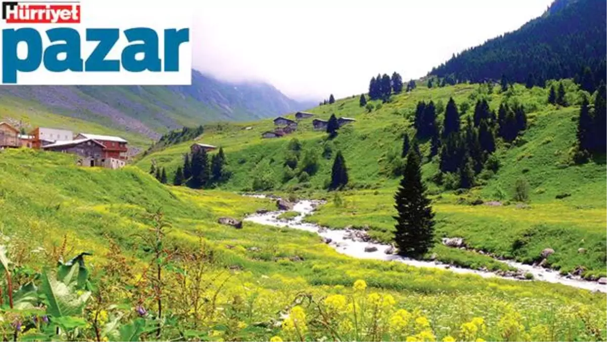 Anzer Yaylası'nın hazinesi - Haberler