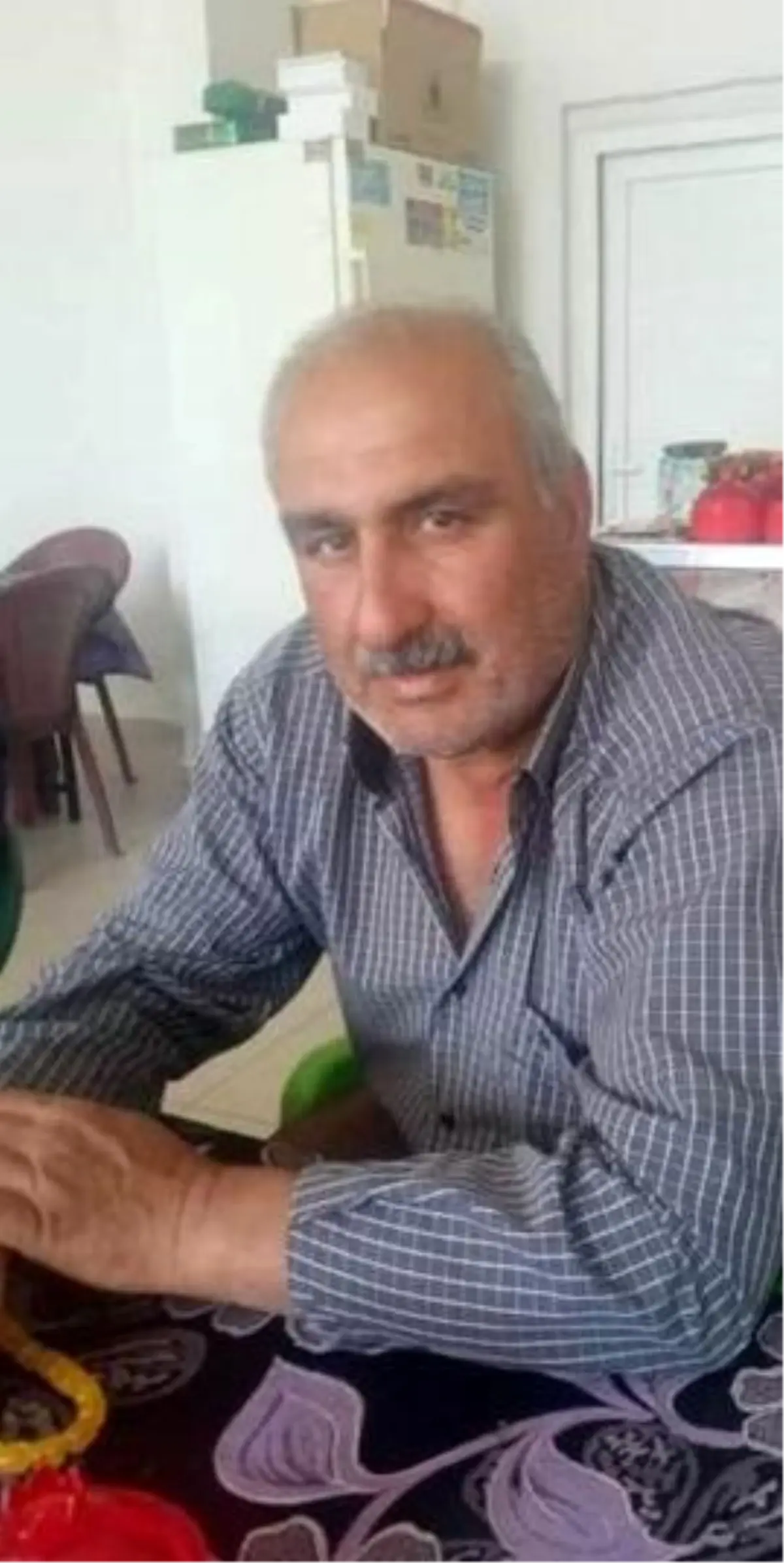 Son dakika... Diyarbakır'da balık tutarken nehre düşen şahıs hayatını ... Son dakika... Diyarbakır'da balık tutarken nehre düşen şahıs hayatını ...