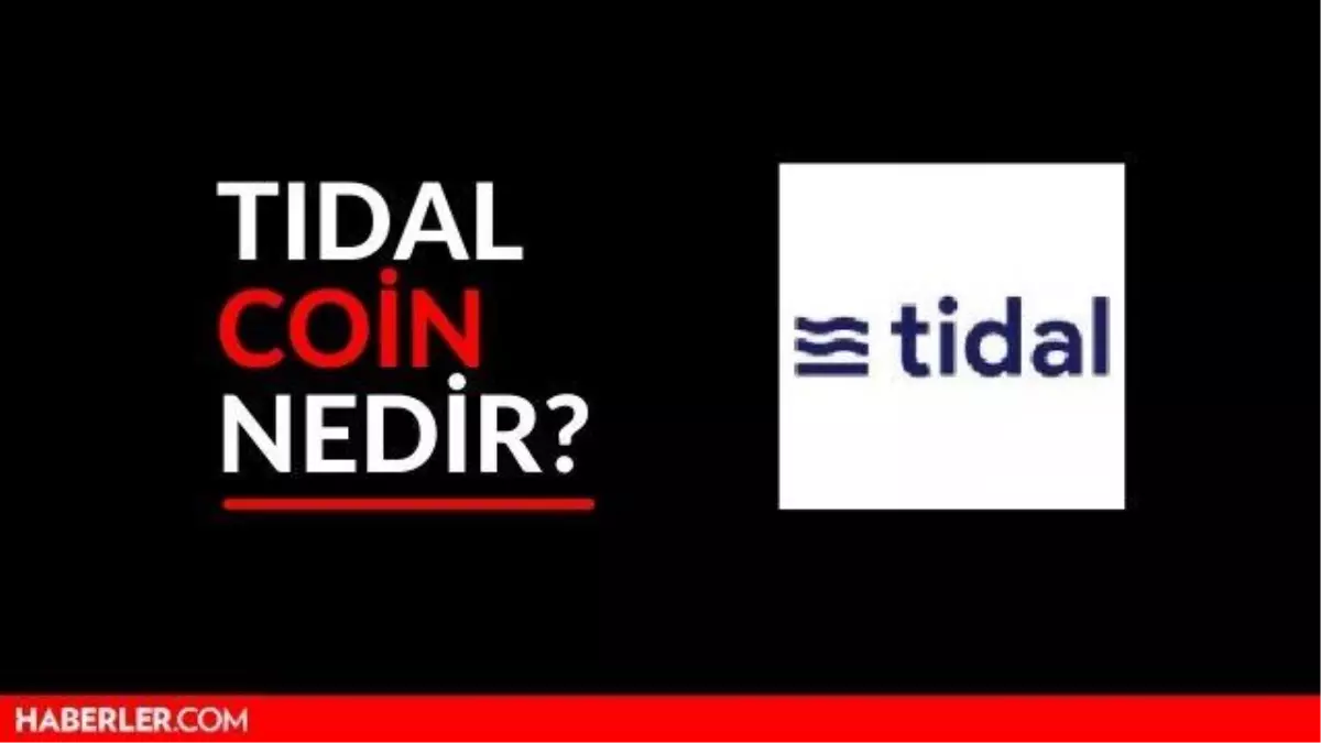 TIDALCoin nedir? Tidal Finance (TIDAL) Coin yorum ve grafiği - Haberler