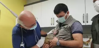 Ali Güngör Haberleri | Ali Güngör Haber - Haberler