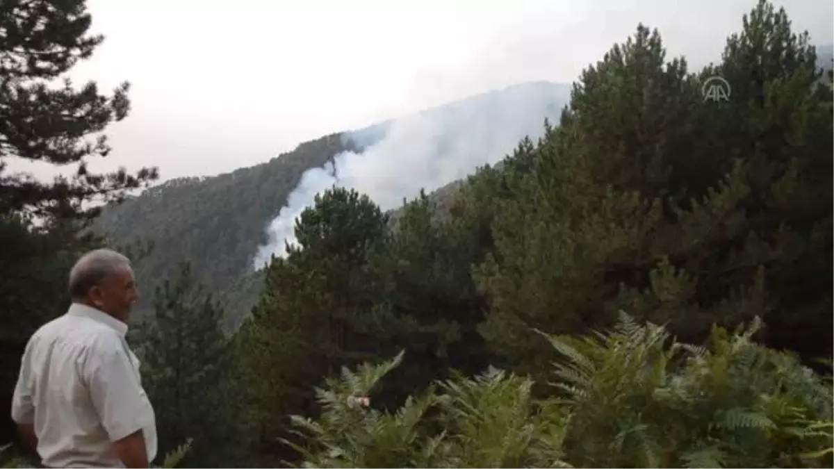 Orman yangınını söndürme çalışmaları devam ediyor - Haberler Orman yangınını söndürme çalışmaları devam ediyor - Haberler