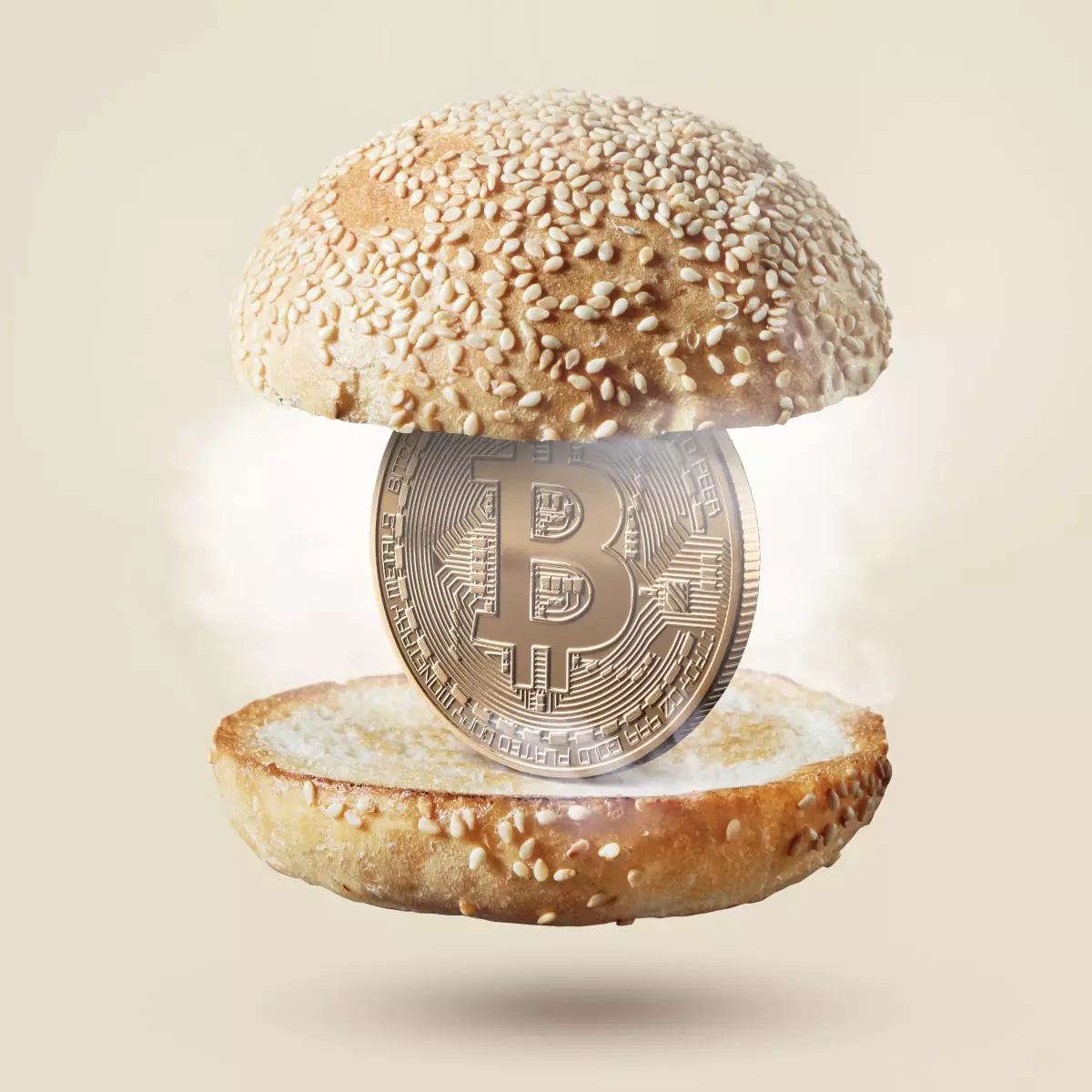 Burger Coin (BurgerSwap) nedir? Burger Coin ne kadar? Burger Coin ...