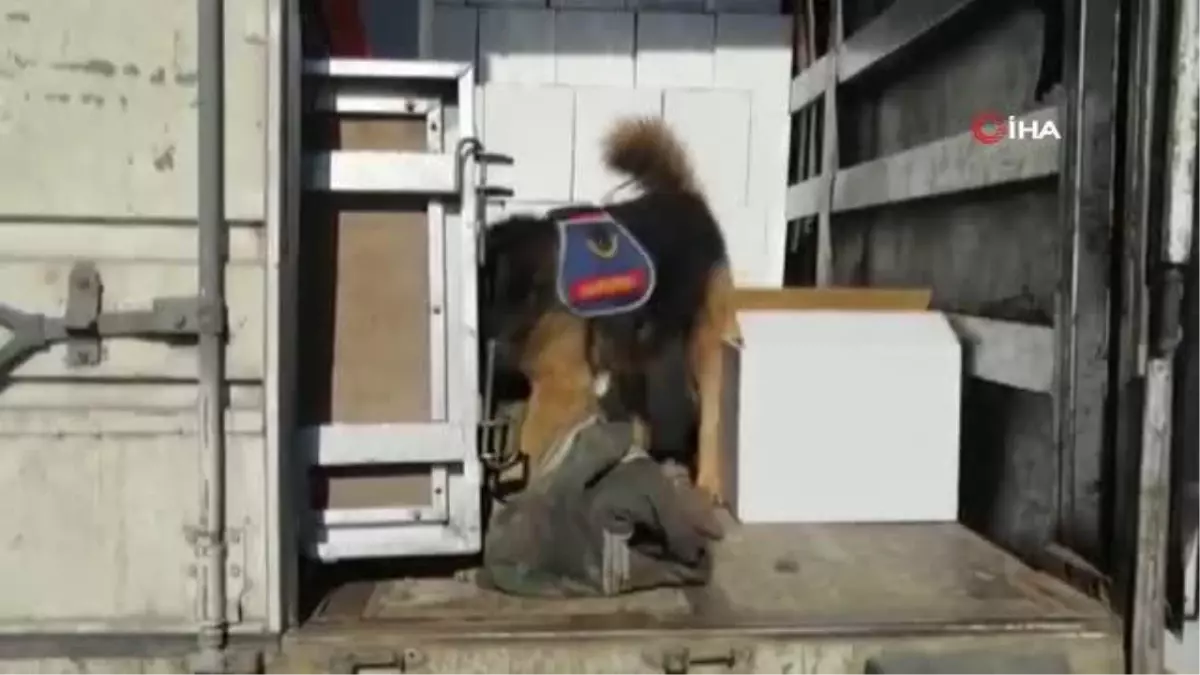 Kamyon kasasından piyasa değeri 500 bin TL olan 5 milyon 970 bin adet ... Kamyon kasasından piyasa değeri 500 bin TL olan 5 milyon 970 bin adet ...