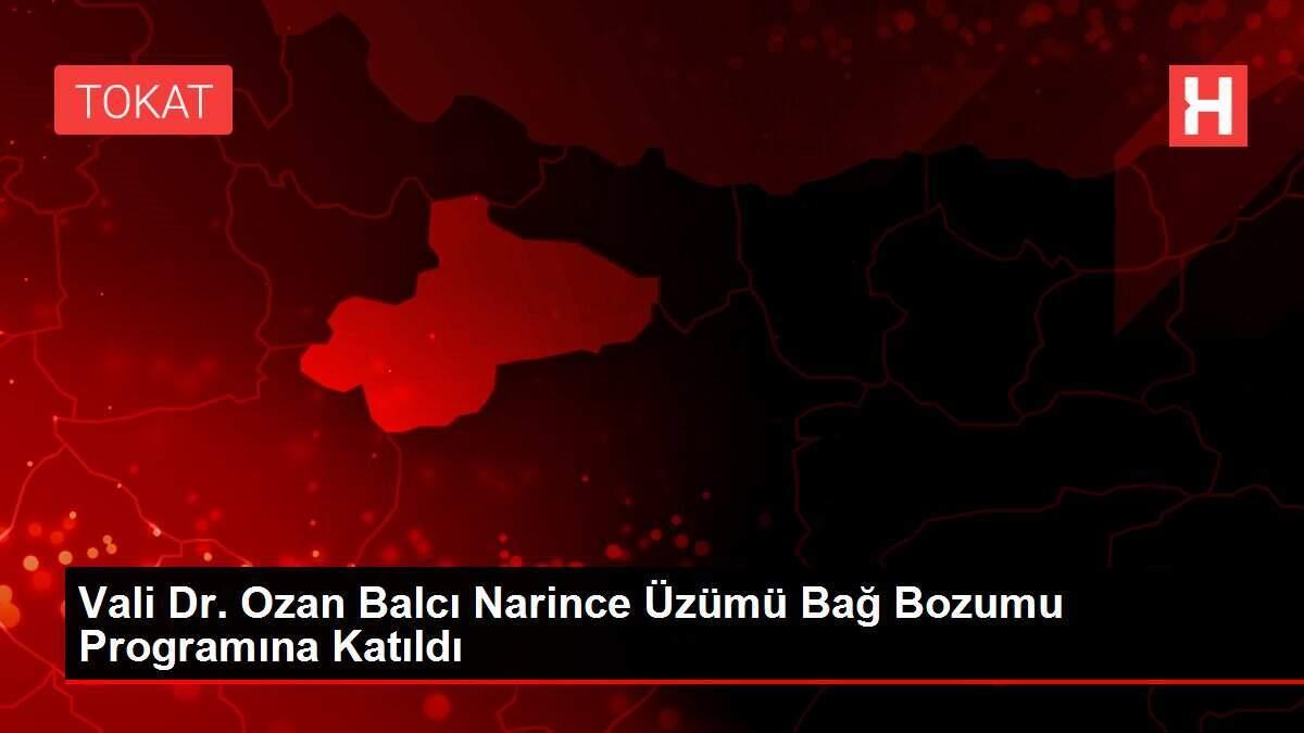 Vali Dr. Ozan Balcı Narince Üzümü Bağ Bozumu Programına Katıldı - Haberler