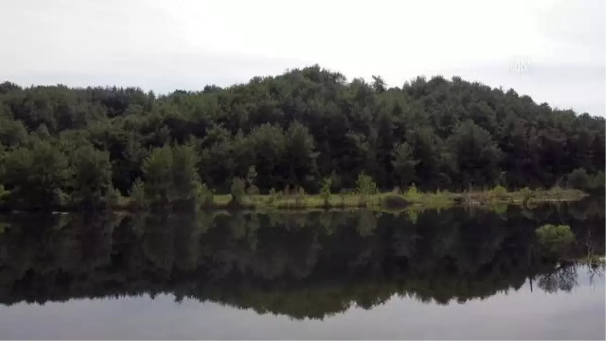 Ceyhan Nehri'ne ilkbaharın renkleri yansıdı - Haberler