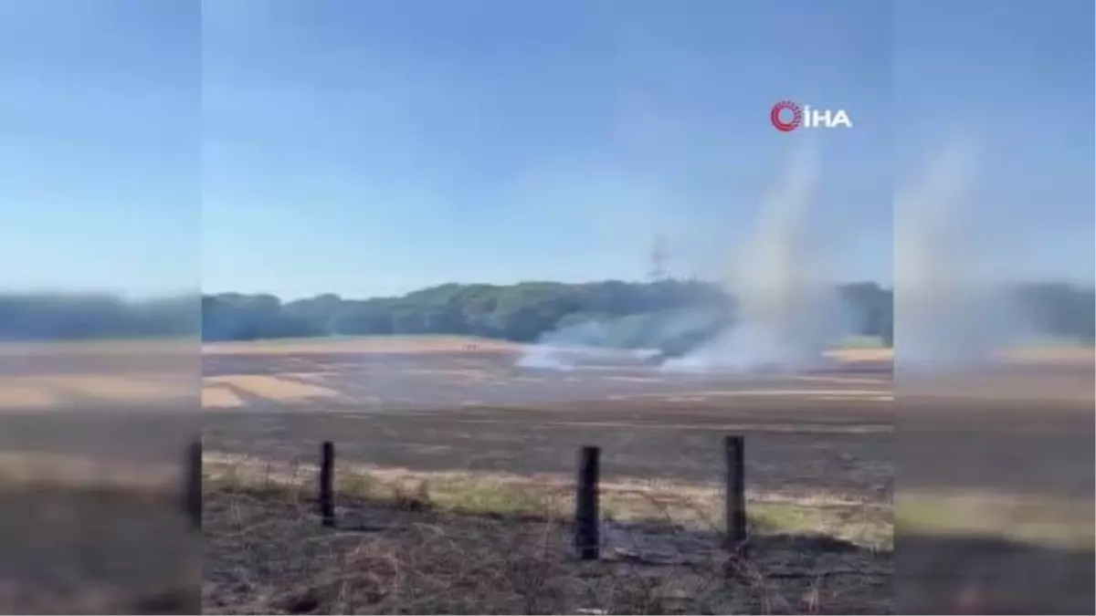 İngiltere'de orman yangını sonrası "şeytan hortumu" çıktı - Haberler