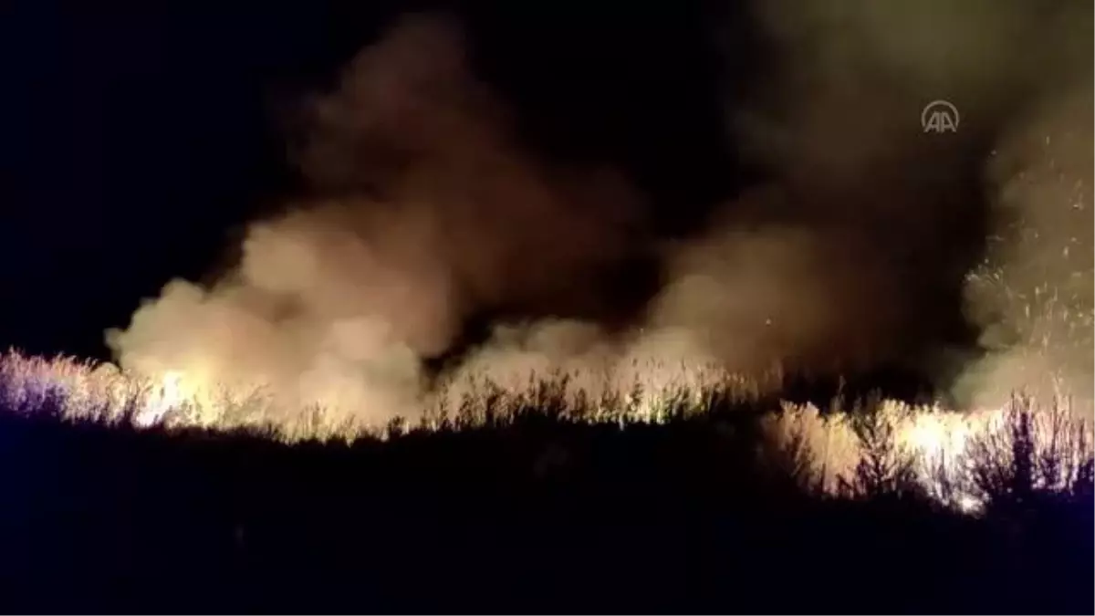 Son dakika haberi: İznik Gölü kıyısındaki sazlık alanda çıkan yangına ... Son dakika haberi: İznik Gölü kıyısındaki sazlık alanda çıkan yangına ...