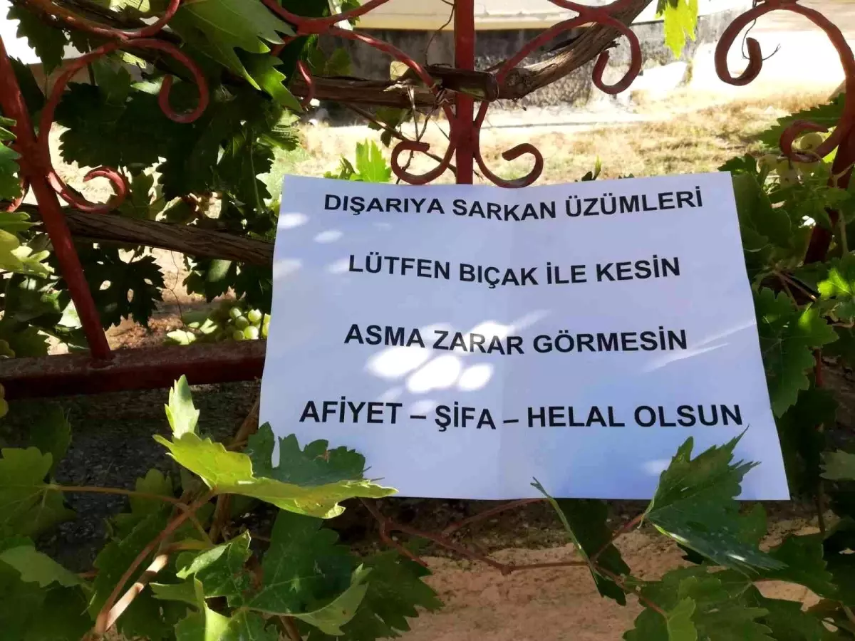 Bahçesinden dışarı sarkan üzümler için yazdığı notla gönülleri fethetti ...