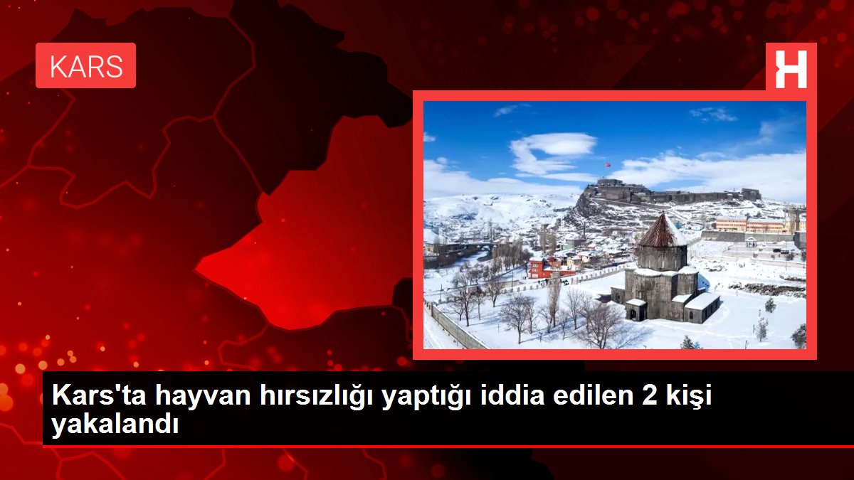 Kars haberi | Kars'ta hayvan hırsızlığı yaptığı iddia edilen 2 kişi ...