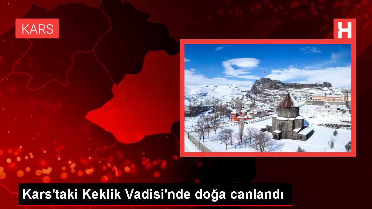 Kars'taki Keklik Vadisi'nde doğa canlandı - Haberler