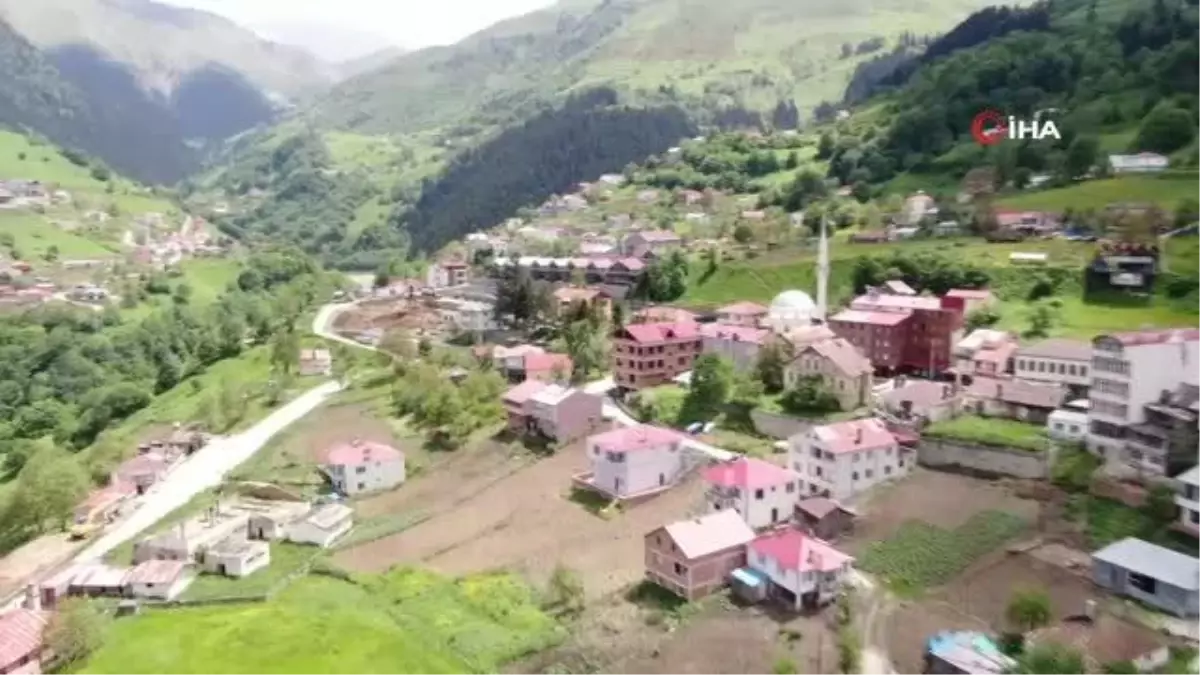 Trabzon'dan dünyaya açılan lezzet: Hamsiköy sütlacı - Haberler Trabzon'dan dünyaya açılan lezzet: Hamsiköy sütlacı - Haberler
