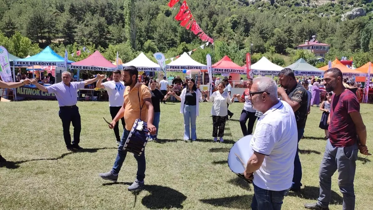 Adana'nın Feke ilçesinde Tapan Lavanta Festivali başladı - Haberler Adana'nın Feke ilçesinde Tapan Lavanta Festivali başladı - Haberler