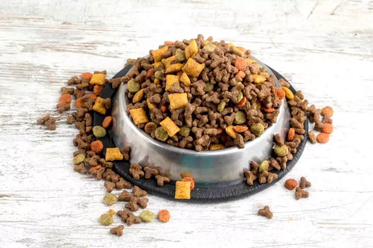 Türkiye'nin Kedi-Köpek Maması İhracatı Yüzde 64 Arttı - Haberler