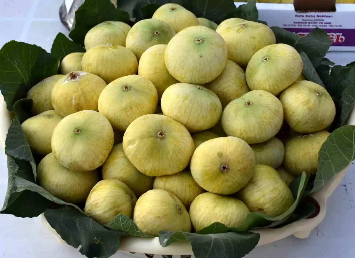 Mersin'de Beyaz İncir Üretimi Yüzleri Güldürdü - Haberler