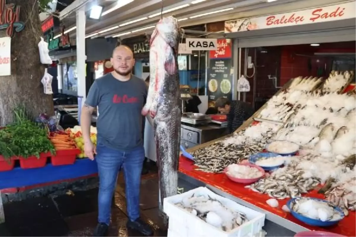Amasya'da Dev Yayın Balığı Yakalandı - Haberler