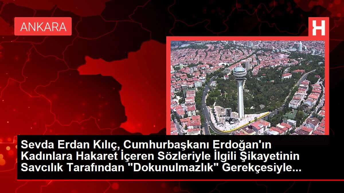 Sevda Erdan Kılıç, Cumhurbaşkanı Erdoğan'ın Kadınlara Hakaret İçeren ...