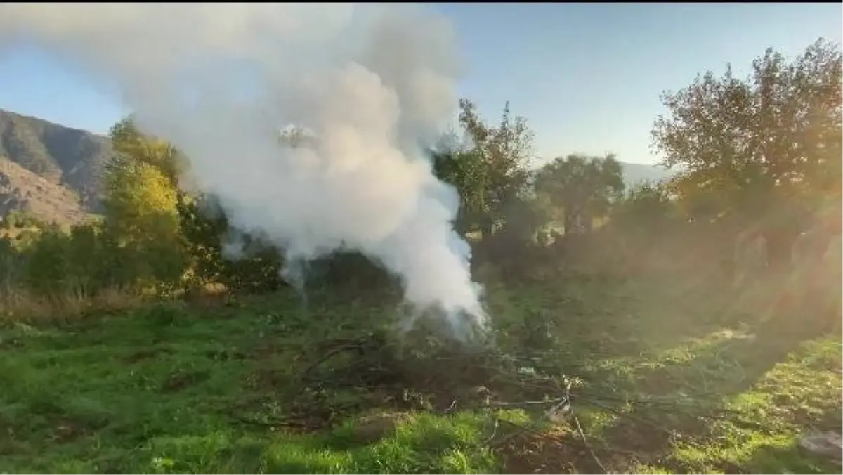 DİYARBAKIR'DA 1 TON 168 KİLO ESRAR İLE 243 BİN KÖK HİNT KENEVİRİ VE ...